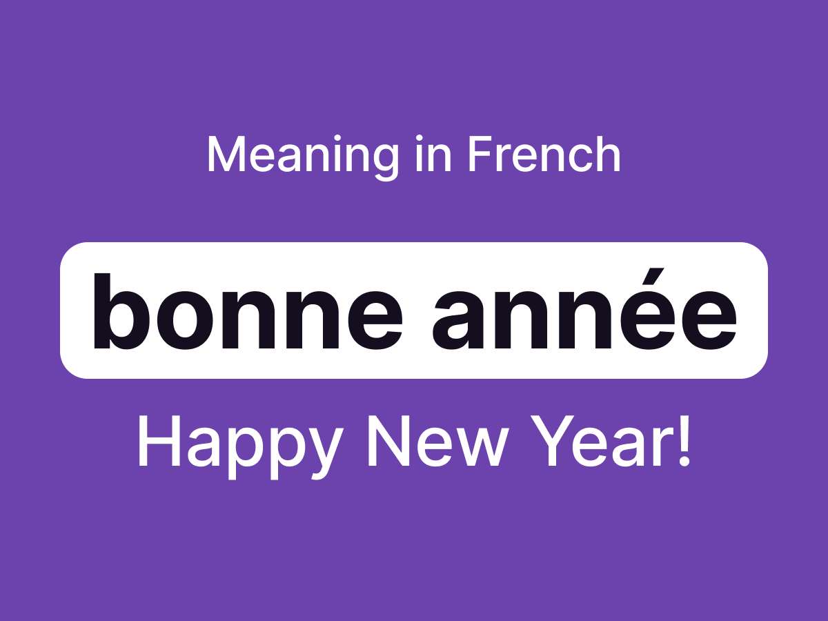 Bonne Année: meaning in French (with examples translated into English)
