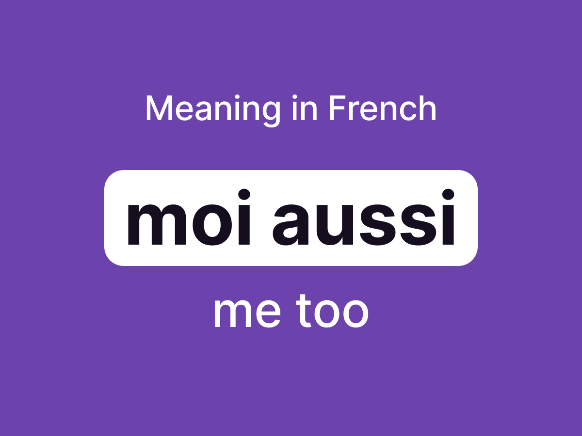 Moi aussi: meaning in French (with examples translated into English)