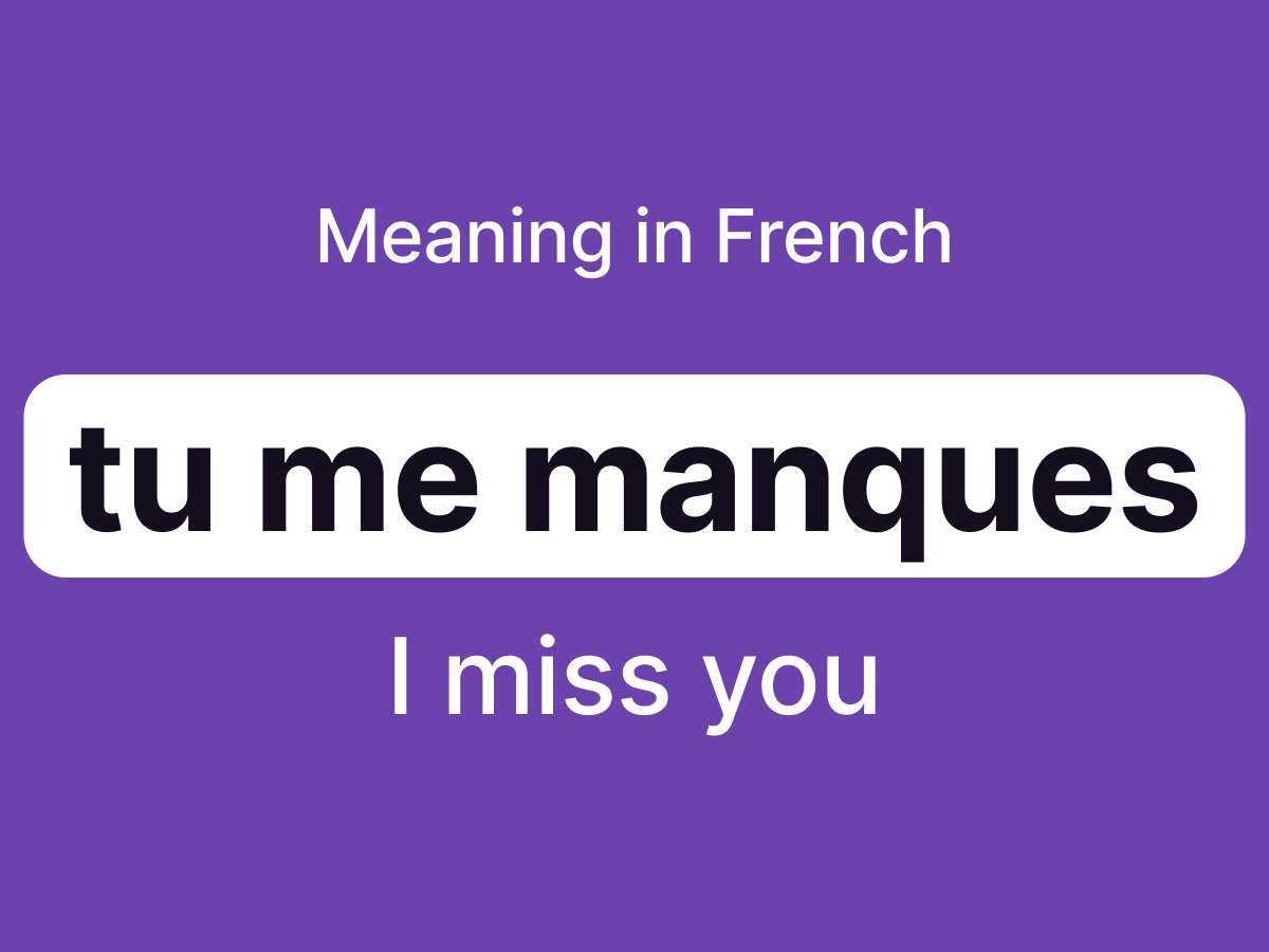 Tu me manques: meaning in French (with examples translated into English)