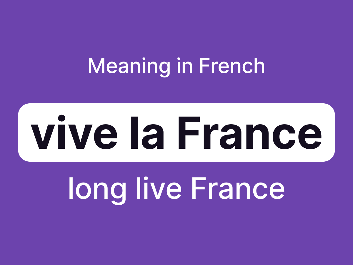 Vive la France: meaning in French (with examples translated into English)